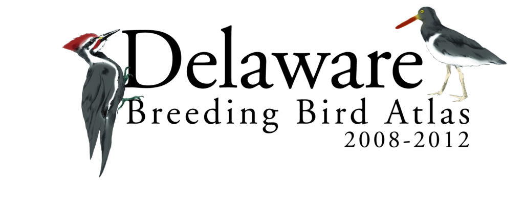 Breeding Bird Atlas - Delaware Ornithological Society