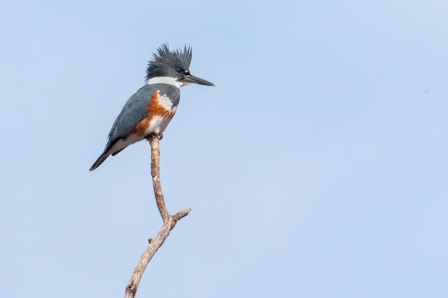 Youth Birders: Brandywine Creek State Park, Thompson's Bridge section ...