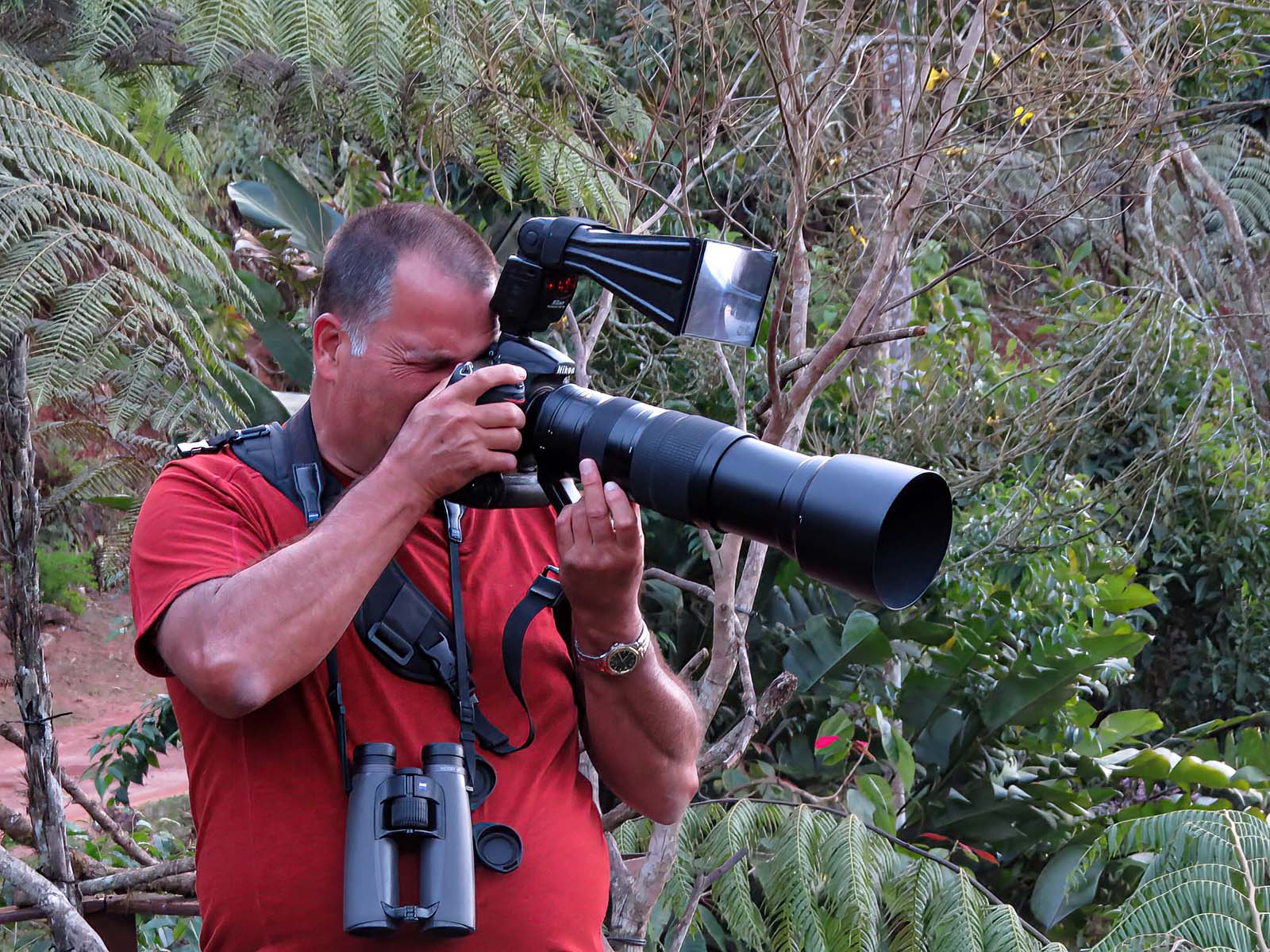DOS April Meeting: "A lifetime quest to see all the Hummingbirds" by ...