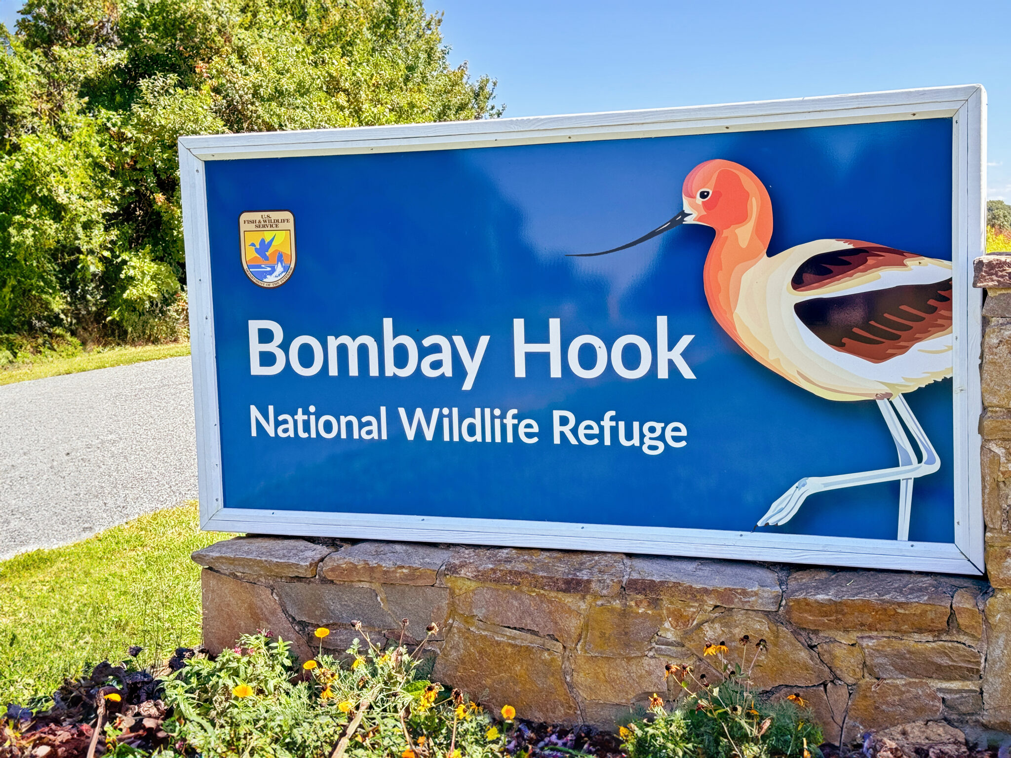 Bird Walk at Bombay Hook - Delaware Ornithological Society