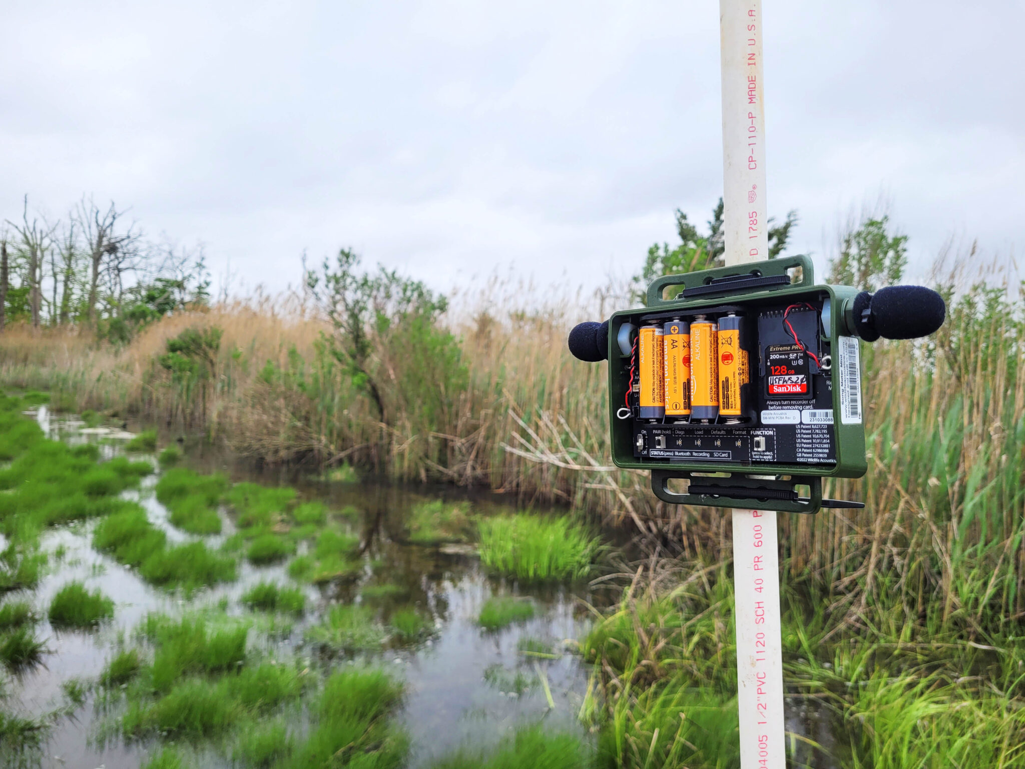 DOS March Meeting: "Echoes of the Estuary: Using Sound to Study Marsh ...