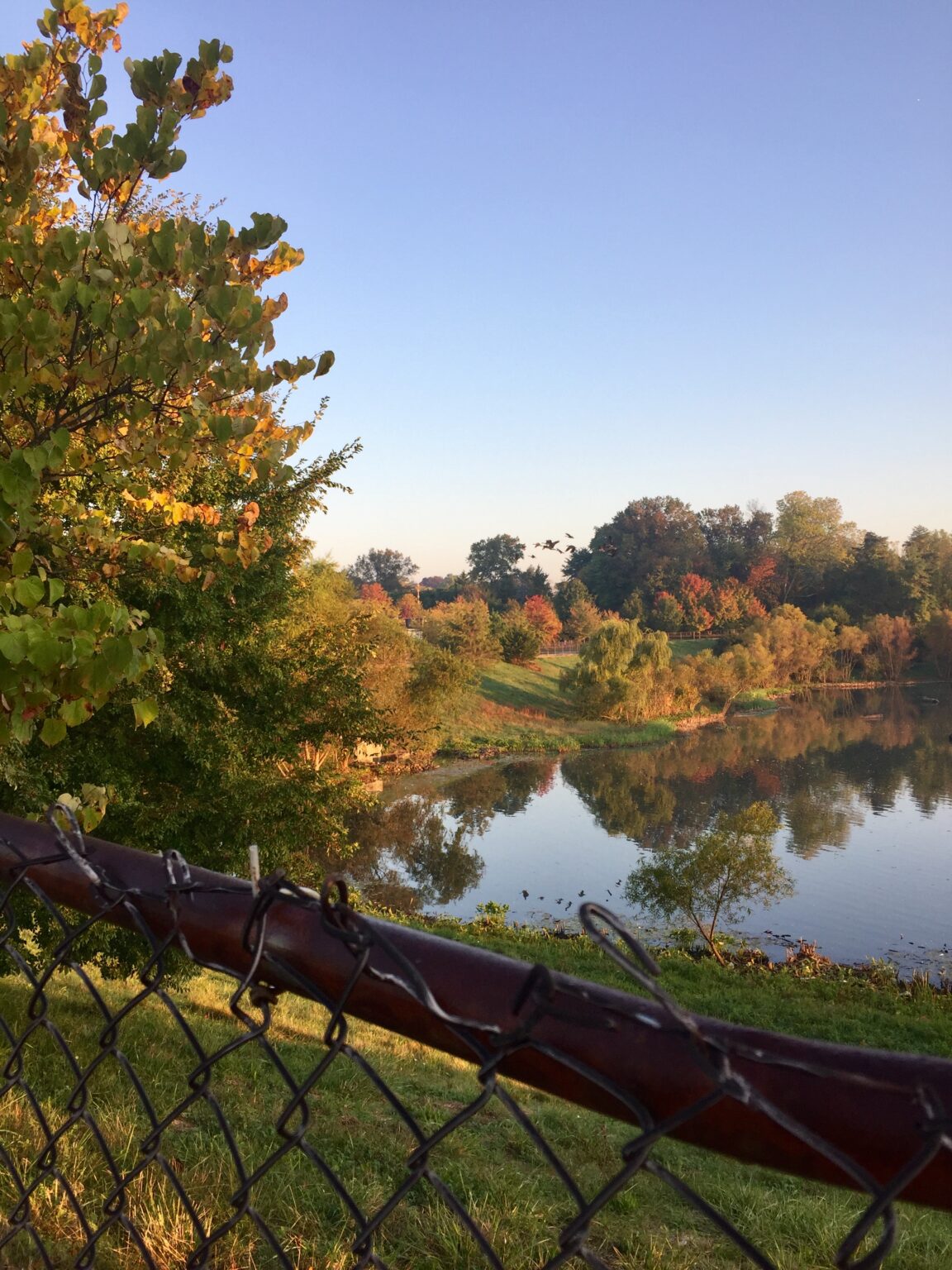 Harry's Pond in Autumn with Amy O'Neil***Rescheduled for Friday, 10/10 ...