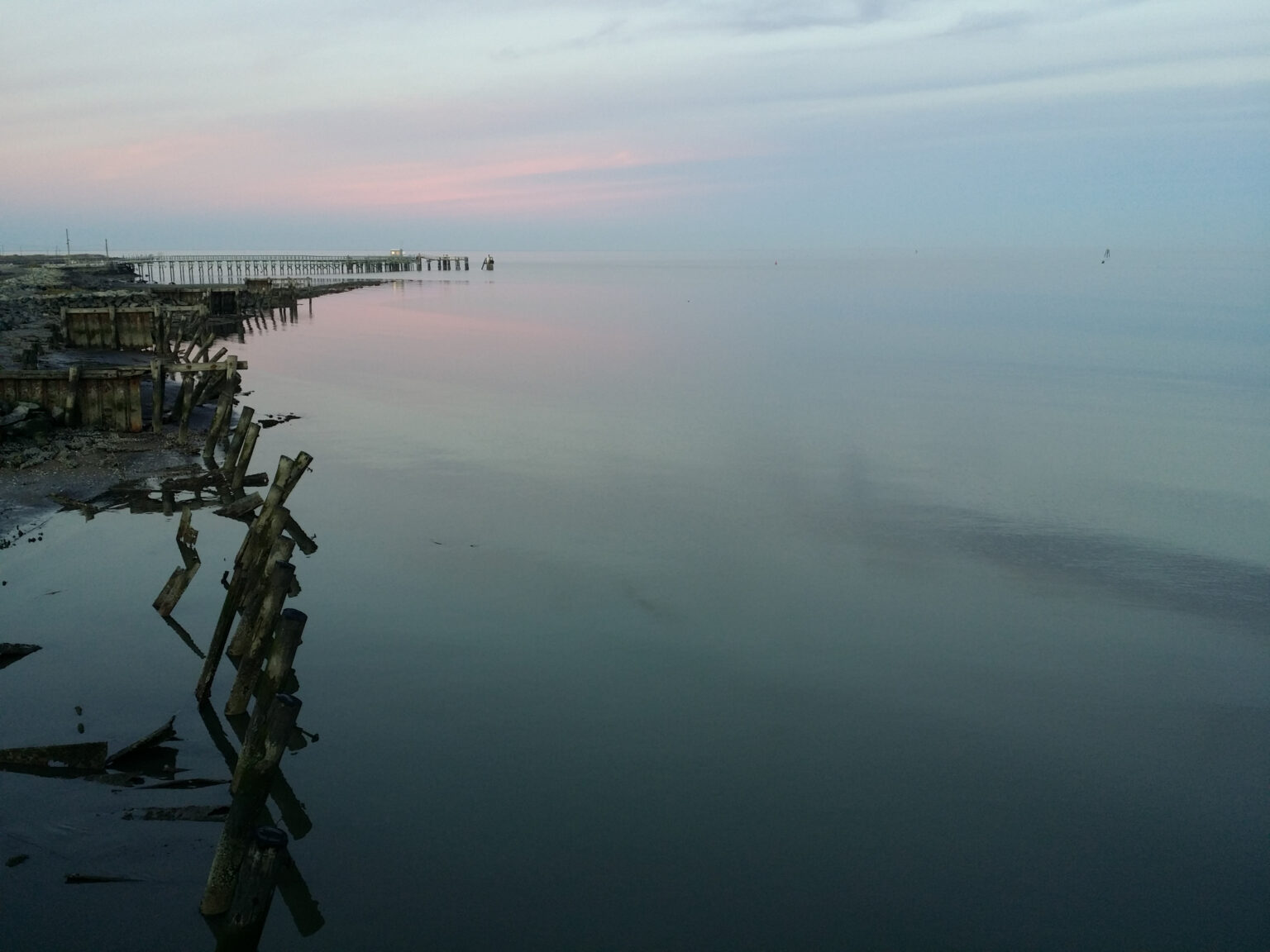 Delaware Bayshore: Pickering Beach to Port Mahon with Anthony Gonzon ...